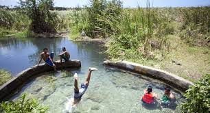 MANANTIAL DE MANATI – Enciclopedia Vegabajeña 2021