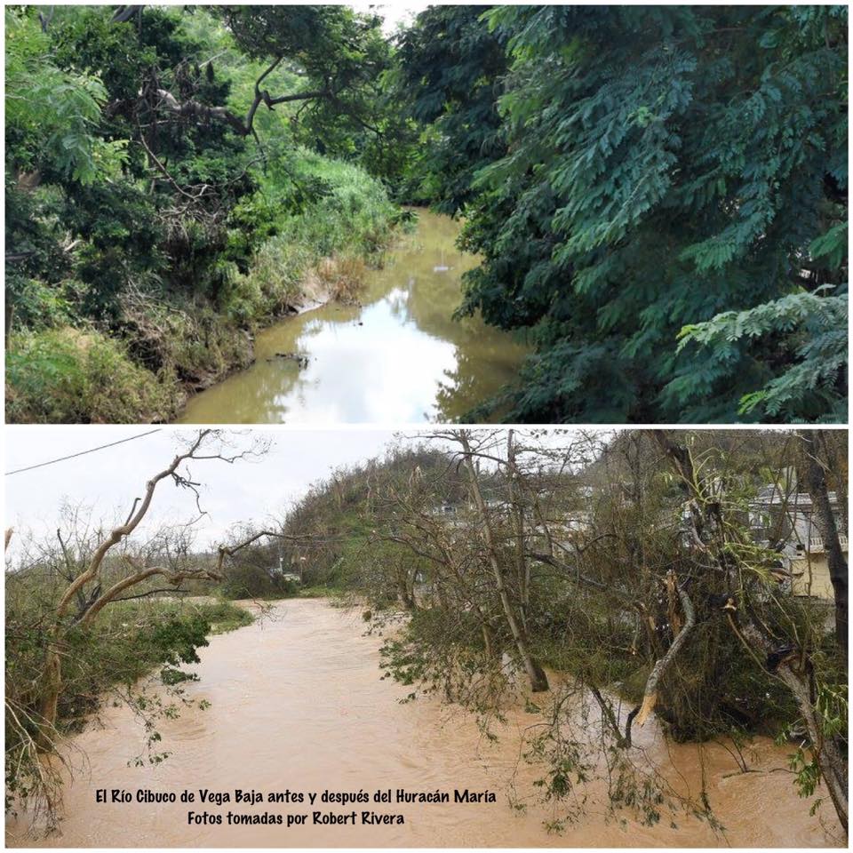 ROBERT RIVERA RIO CIBUCO VEGA BAJA MARIA 2 – Enciclopedia Vegabajeña 2021